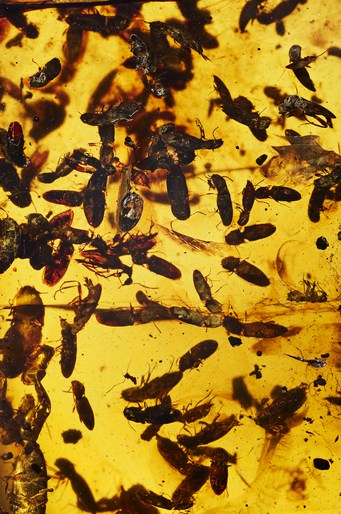 Kate Ryan - News - Popular Science